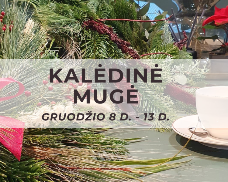 Nemokami renginiai | Vilnius Events